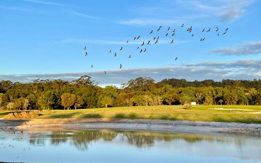 Home - Sixty6 Acres