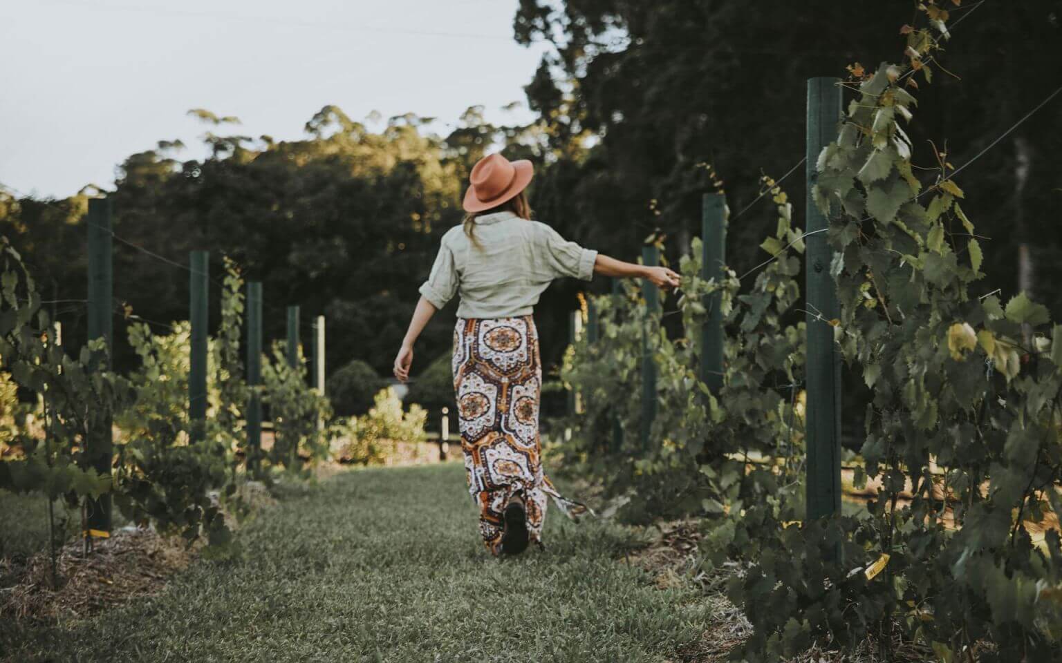 The Farm - Sixty6 Acres