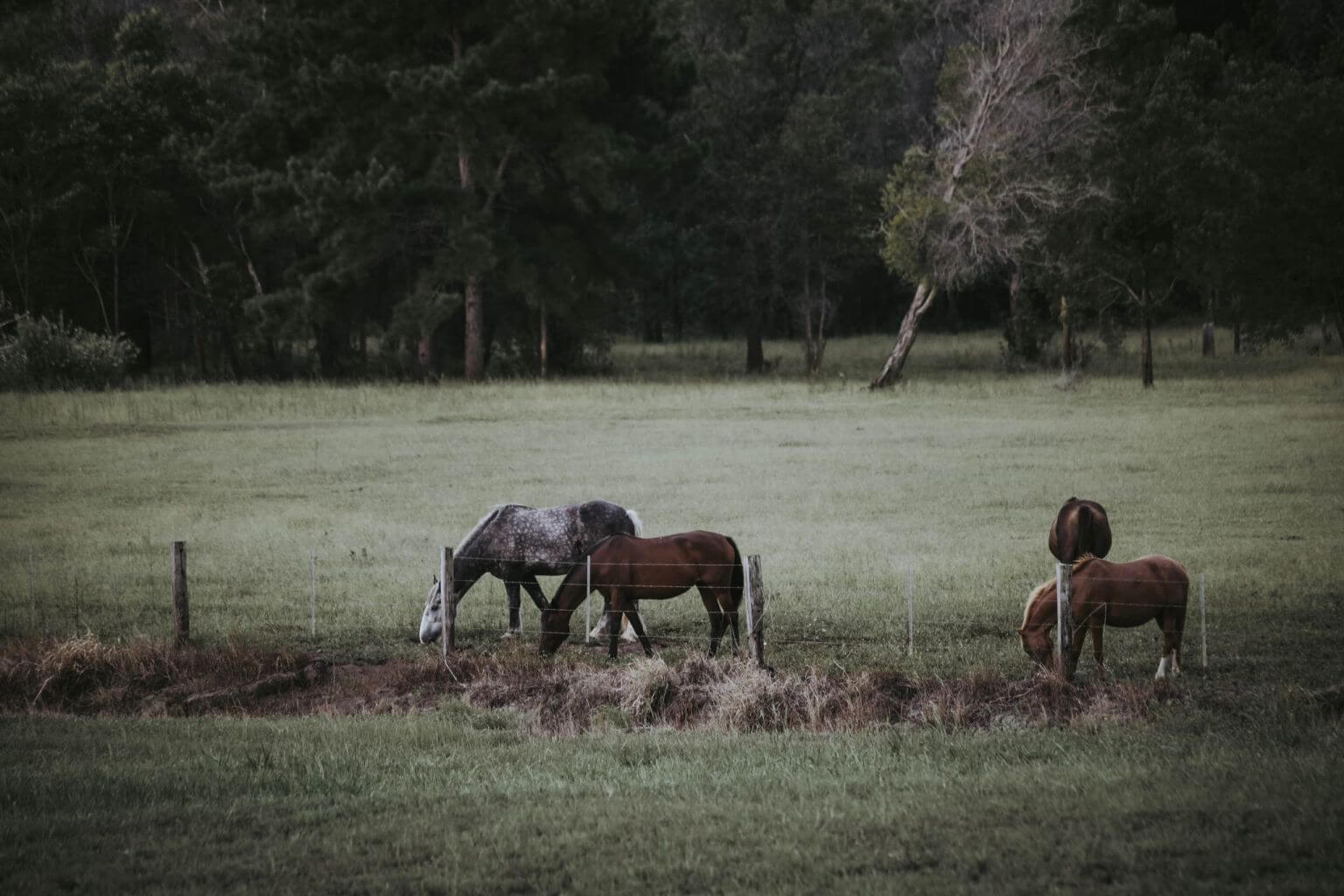Home - Sixty6 Acres
