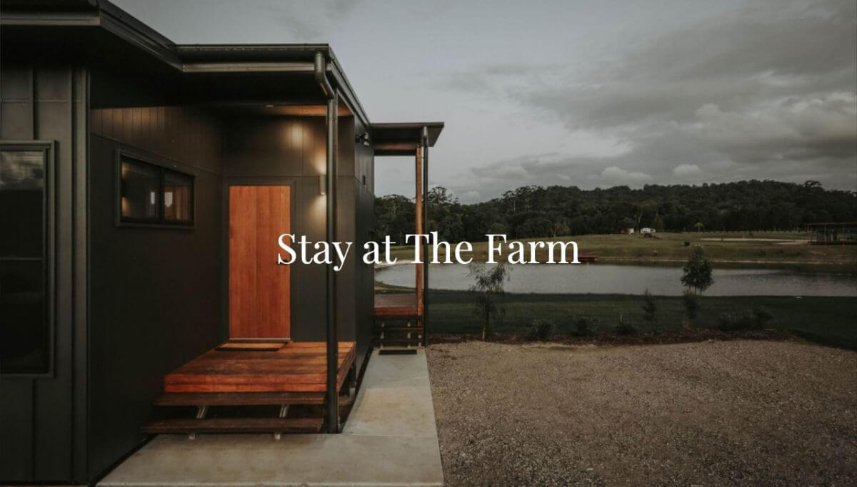 Stay - Sixty6 Acres
